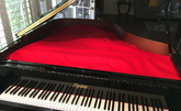 Collections – Erwin's Piano Forte Supply